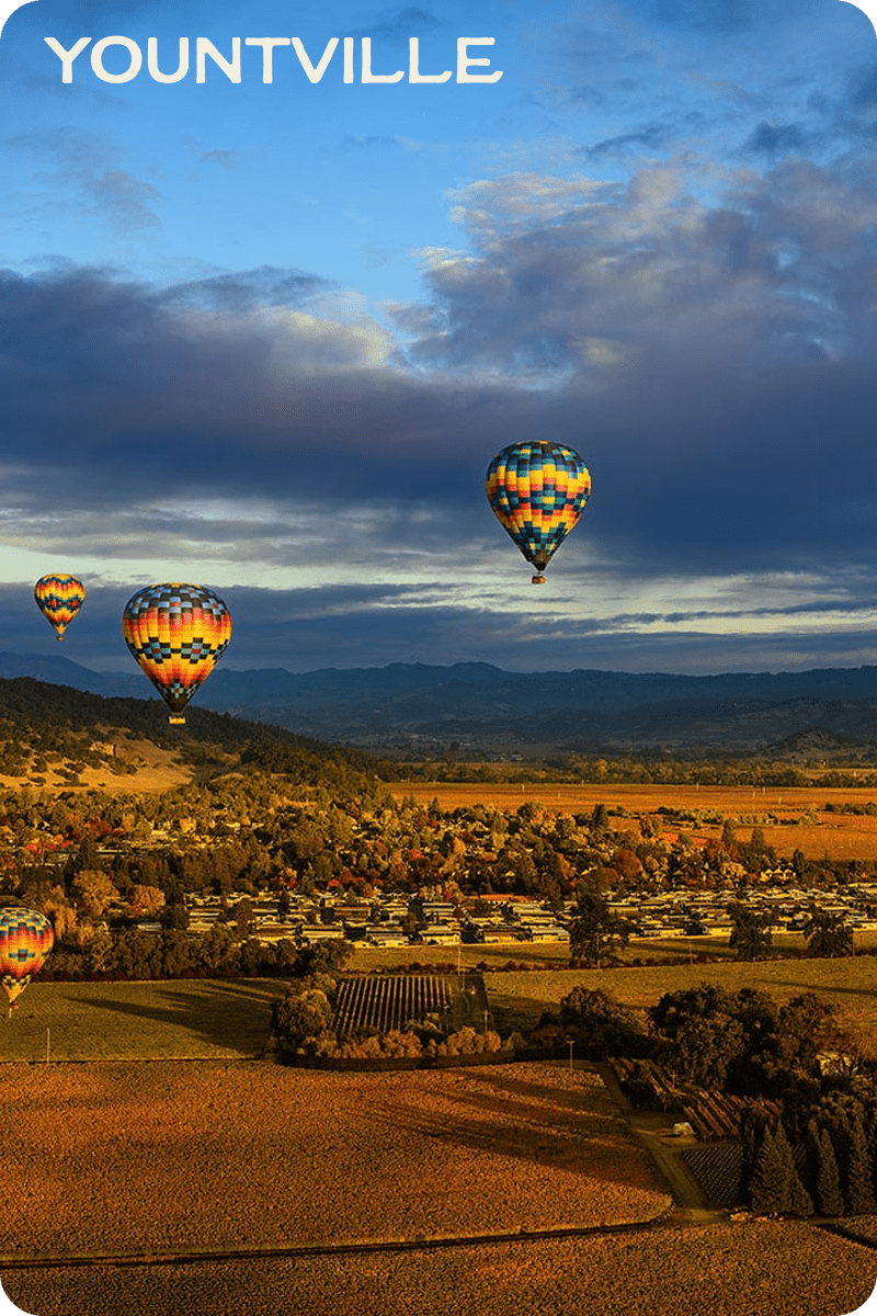 Napa Valley Begins in the North - Napa Valley North | Wine, Food ...